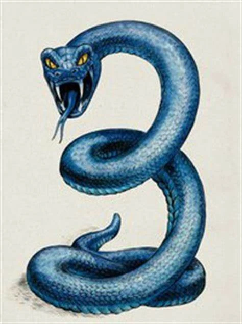 Kora | Macropod Madness Wiki | Fandom