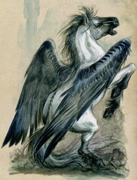 Wildfire | Macropod Madness Wiki | Fandom