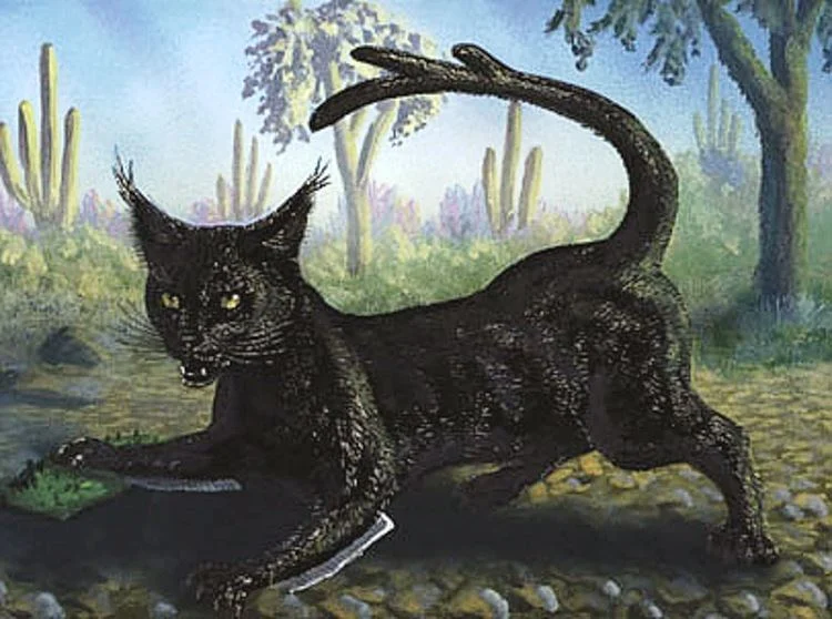 Catalia | Macropod Madness Wiki | Fandom