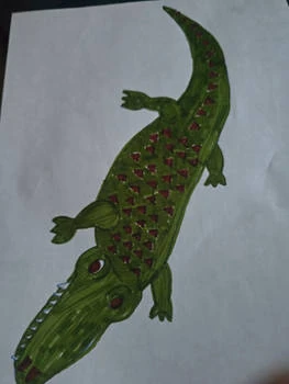Alligator | Macropod Madness Wiki | Fandom