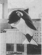 Baby Shamu/Gallery | Macy's Thanksgiving Day Parade Wiki | Fandom