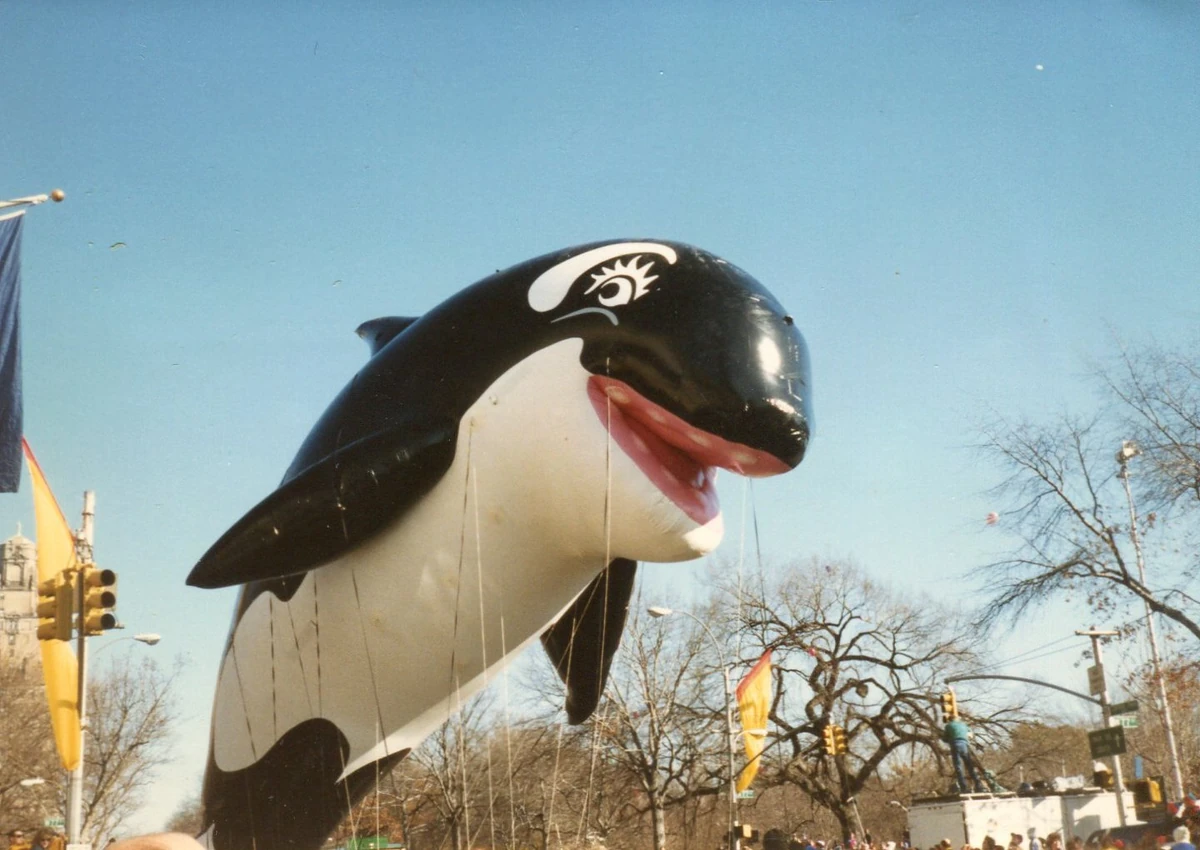 Baby Shamu/Gallery | Macy's Thanksgiving Day Parade Wiki | Fandom