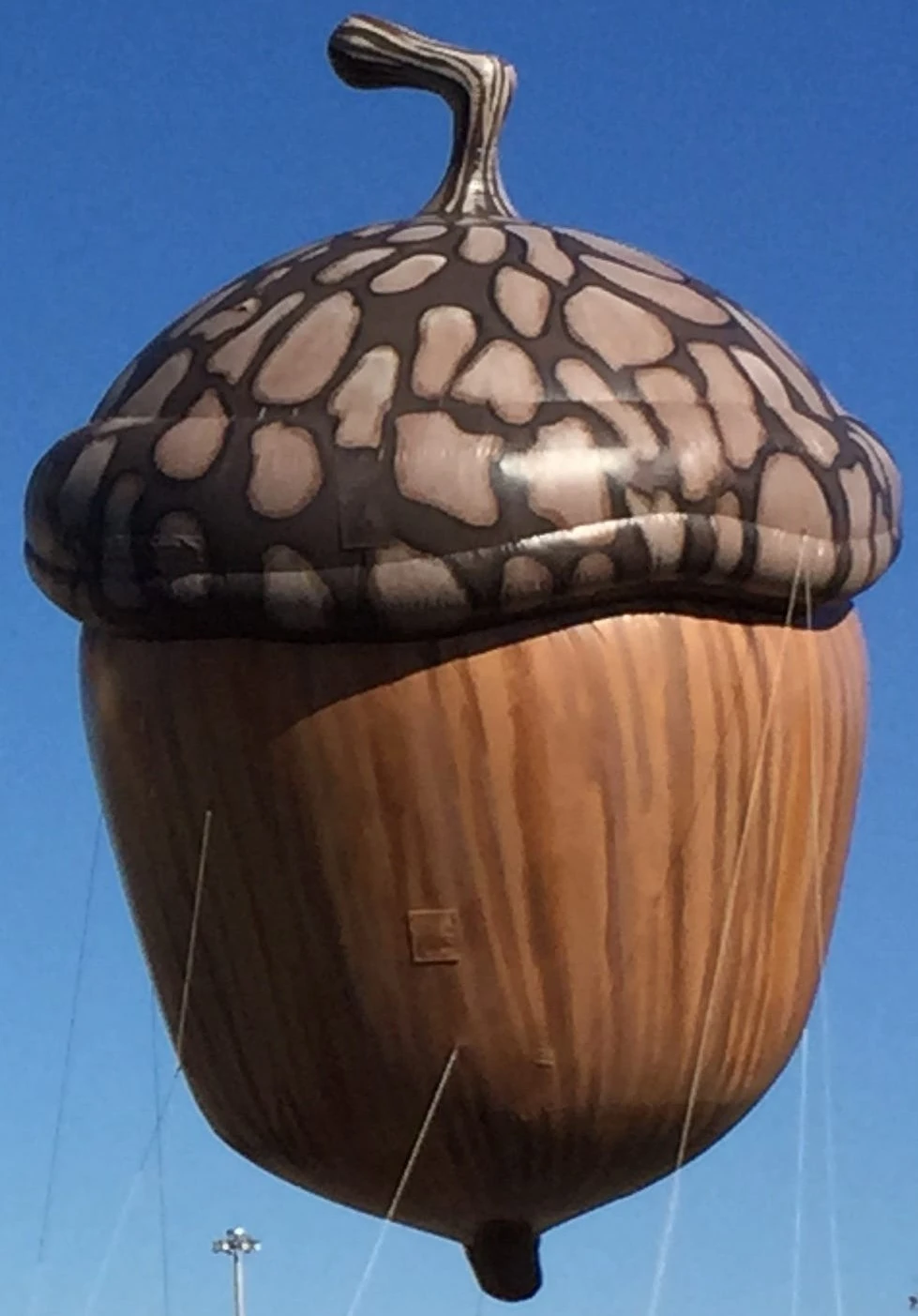 Acorn | Macy's Thanksgiving Day Parade Wiki | Fandom