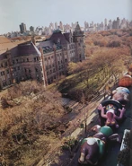 Peter Rabbit/Gallery | Macy's Thanksgiving Day Parade Wiki | Fandom