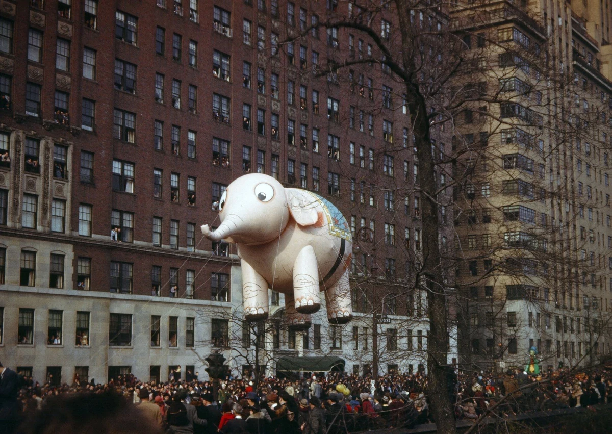 Elephant/Gallery | Macy's Thanksgiving Day Parade Wiki | Fandom
