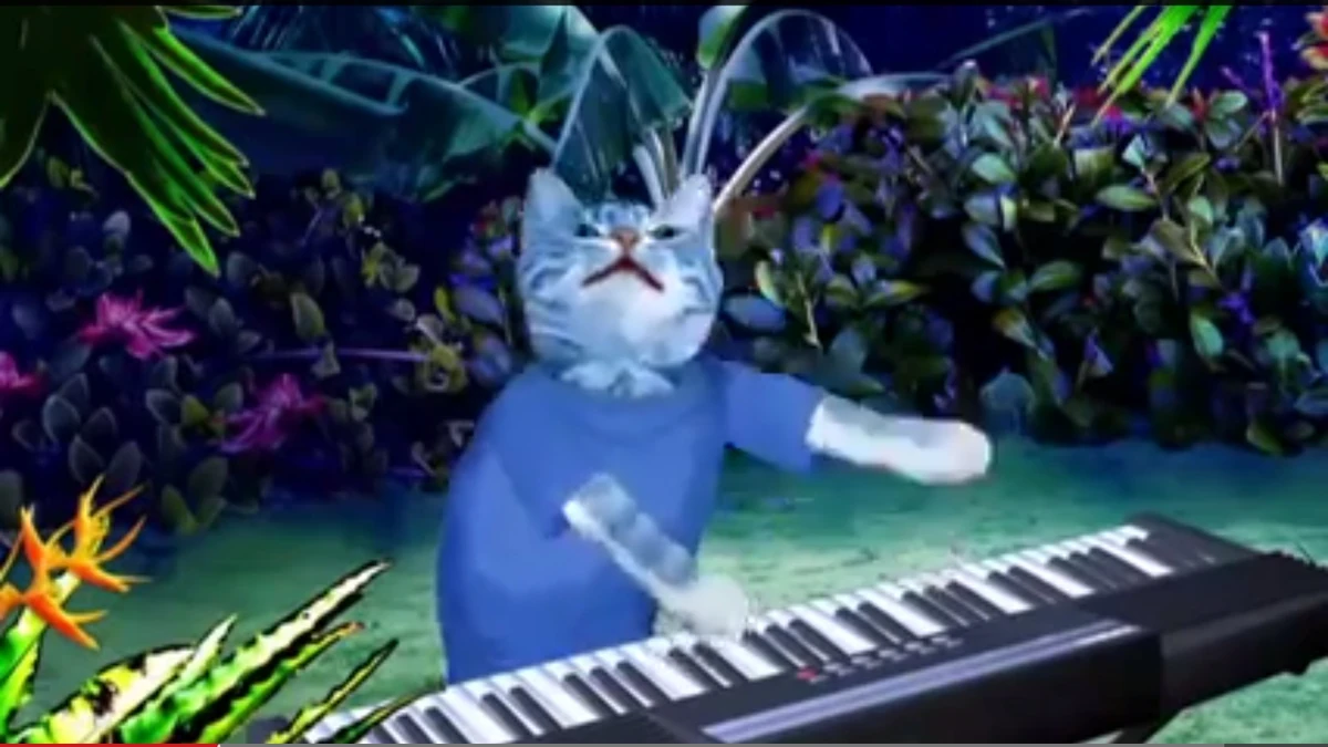 Keyboard Cat | Wiki Mad tv | Fandom