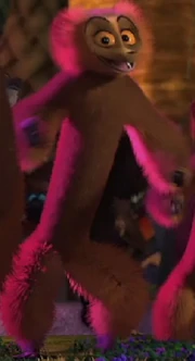 Red Ruffed Lemur | Madagascar FANDOM Wiki | Fandom