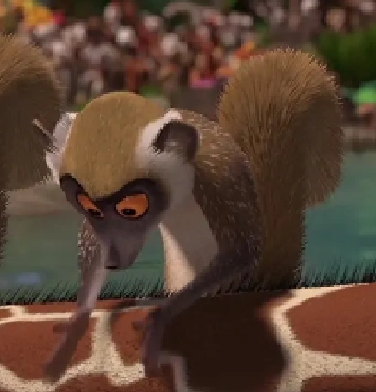 Mongoose Lemur | Madagascar FANDOM Wiki | Fandom