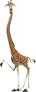 Melman the Giraffe | Madagascar FANDOM Wiki | Fandom