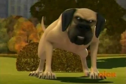 Elmer | Madagascar-Wiki | Fandom