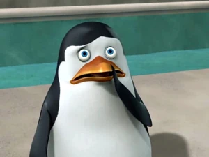 Private | Madagascar-Wiki | Fandom