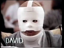 David | Made For TV Movie Wiki | Fandom