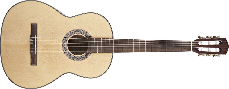 Fender CN-90 | Rammstein Wiki | Fandom