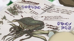 Glyphs | Made in Abyss Wiki | Fandom