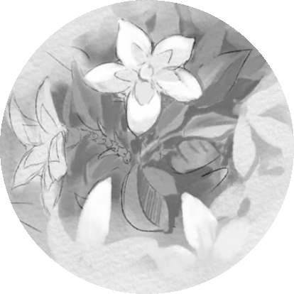 Eternal Fortunes | Made in Abyss Wiki | Fandom
