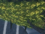 Category:Flora | Made in Abyss Wiki | Fandom