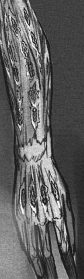 Thousand-Men Pins/Image Gallery | Made in Abyss Wiki | Fandom