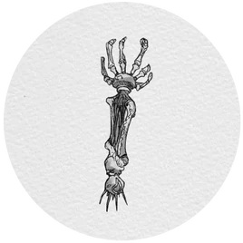 Third Works | Made in Abyss Wiki | Fandom