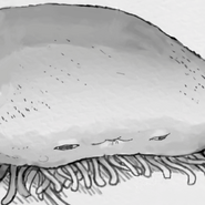 Narehate | Made in Abyss Wiki | Fandom