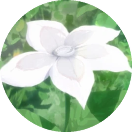Eternal Fortunes | Made in Abyss Wiki | Fandom