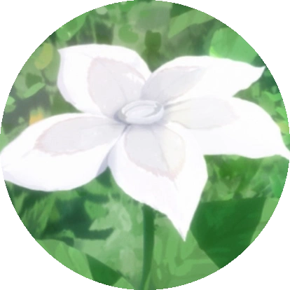 Eternal Fortunes | Made in Abyss Wiki | Fandom