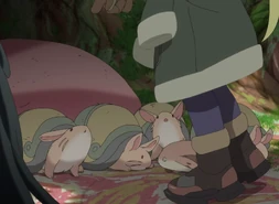 Hermit-Dweller/Image Gallery | Made in Abyss Wiki | Fandom