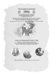 Eternal Fortunes/Image Gallery | Made in Abyss Wiki | Fandom