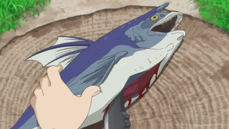 Demonfish/Image Gallery | Made in Abyss Wiki | Fandom