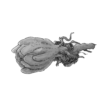 Magotato | Made in Abyss Wiki | Fandom