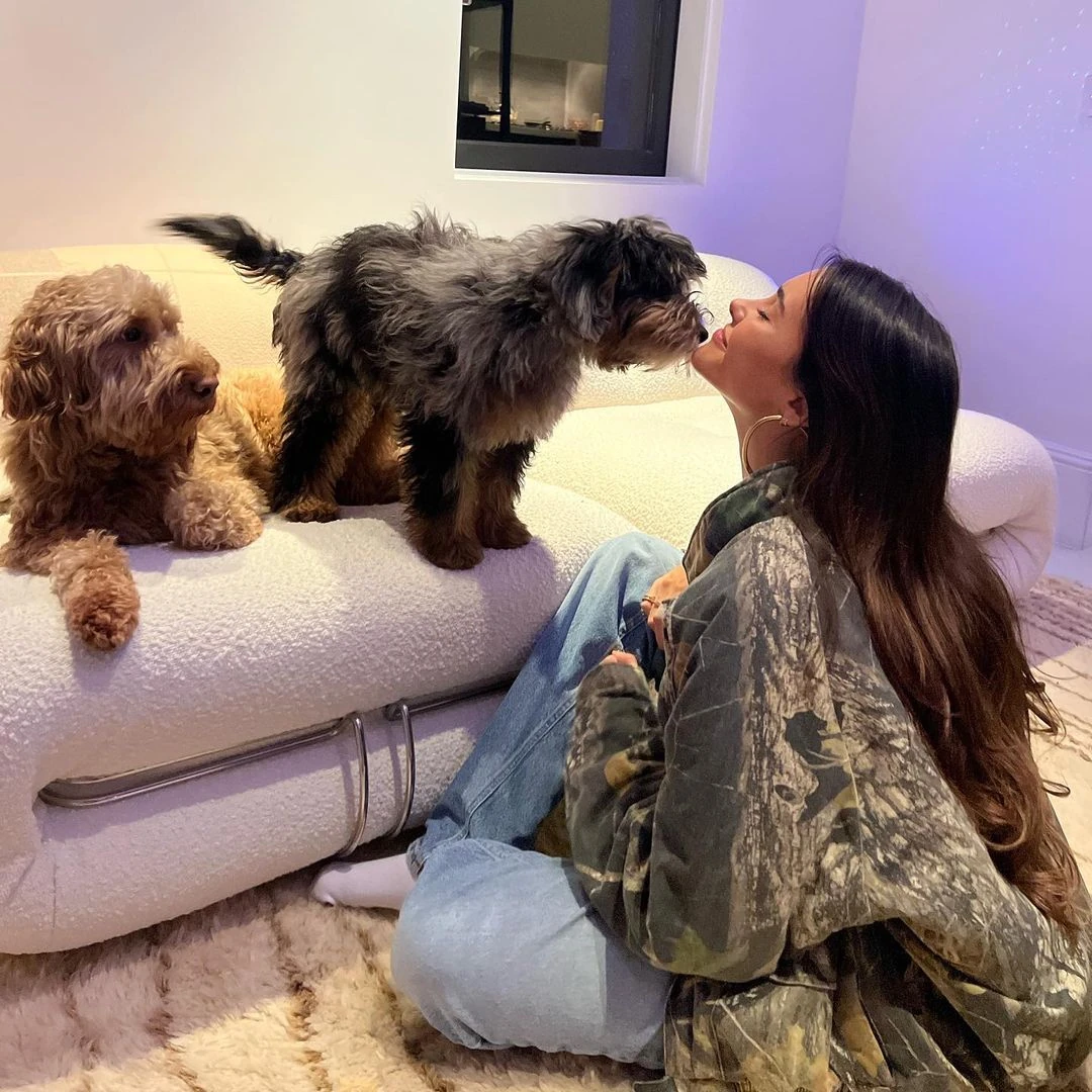 Bowie | Madison Beer Wiki | Fandom