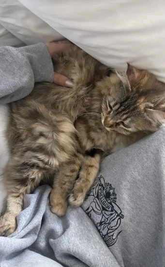 Maple | Madison Beer Wiki | Fandom