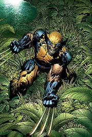 Wolverine | Mad Cartoon Network Wiki | Fandom