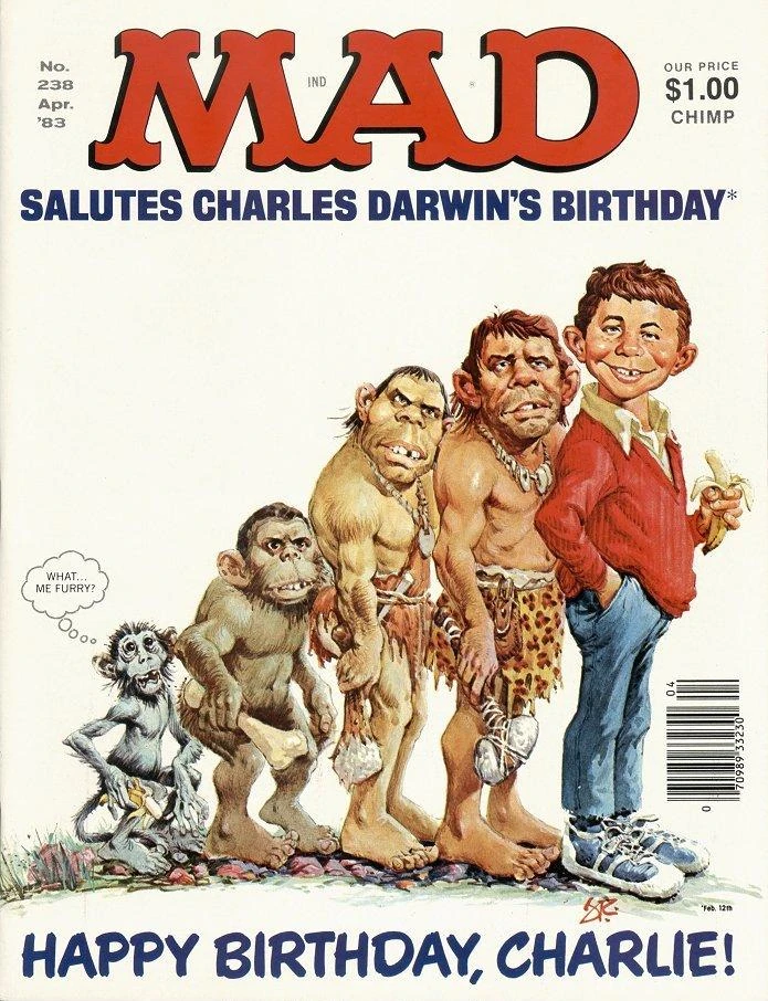 MAD Magazine Issue 238 | Mad Cartoon Network Wiki | Fandom