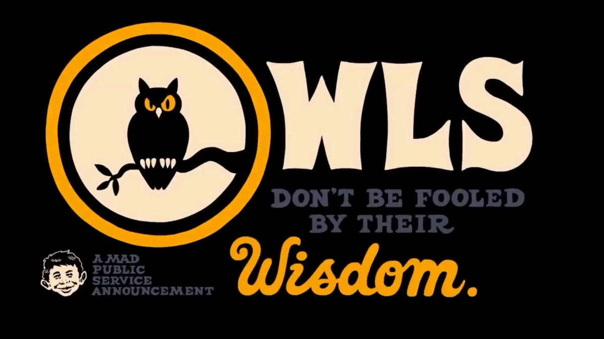 Owls: Don't Be Fooled by their Wisdom | Mad Cartoon Network Wiki | Fandom