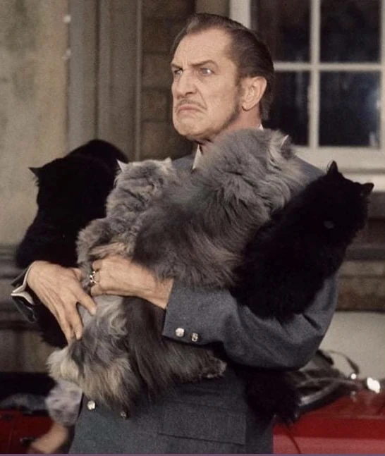 Kittens | Inspector SpaceTime Wiki | Fandom