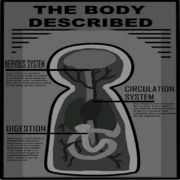 Categoría:Variado | Madness Combat Wiki | Fandom