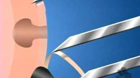 Mach 20 Razor | Mad TV wiki | Fandom