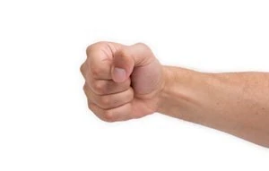 Fist (0) | MafiaBot Wiki | Fandom