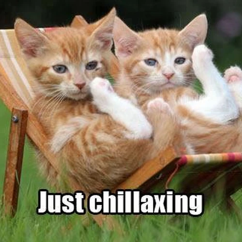 Get Well Soon Lolcat