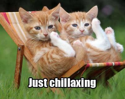 Lolcats the 2th | Mafia Maniac Wiki | Fandom