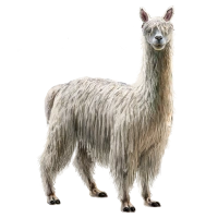 Suri Alpaca | Mafia Wars Wiki | Fandom