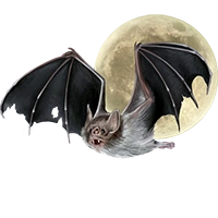 Vampire Bat | Mafia Wars Wiki | Fandom