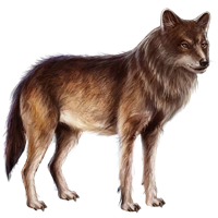 Mexican Red Wolf | Mafia Wars Wiki | Fandom