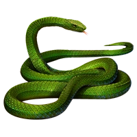 Green Mamba | Mafia Wars Wiki | Fandom