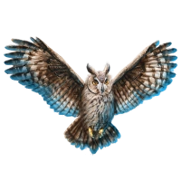 Long-Eared Owl | Mafia Wars Wiki | Fandom