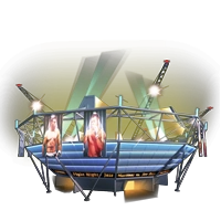 Cage Fight Arena | Mafia Wars Wiki | Fandom