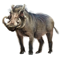 Warthog | Mafia Wars Wiki | Fandom
