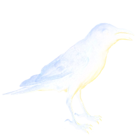 Eastern Crow | Mafia Wars Wiki | Fandom