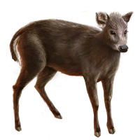 Tufted Deer | Mafia Wars Wiki | Fandom
