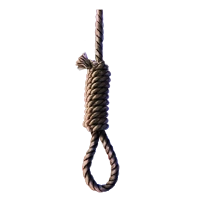 Hangman's Noose | Mafia Wars Wiki | Fandom